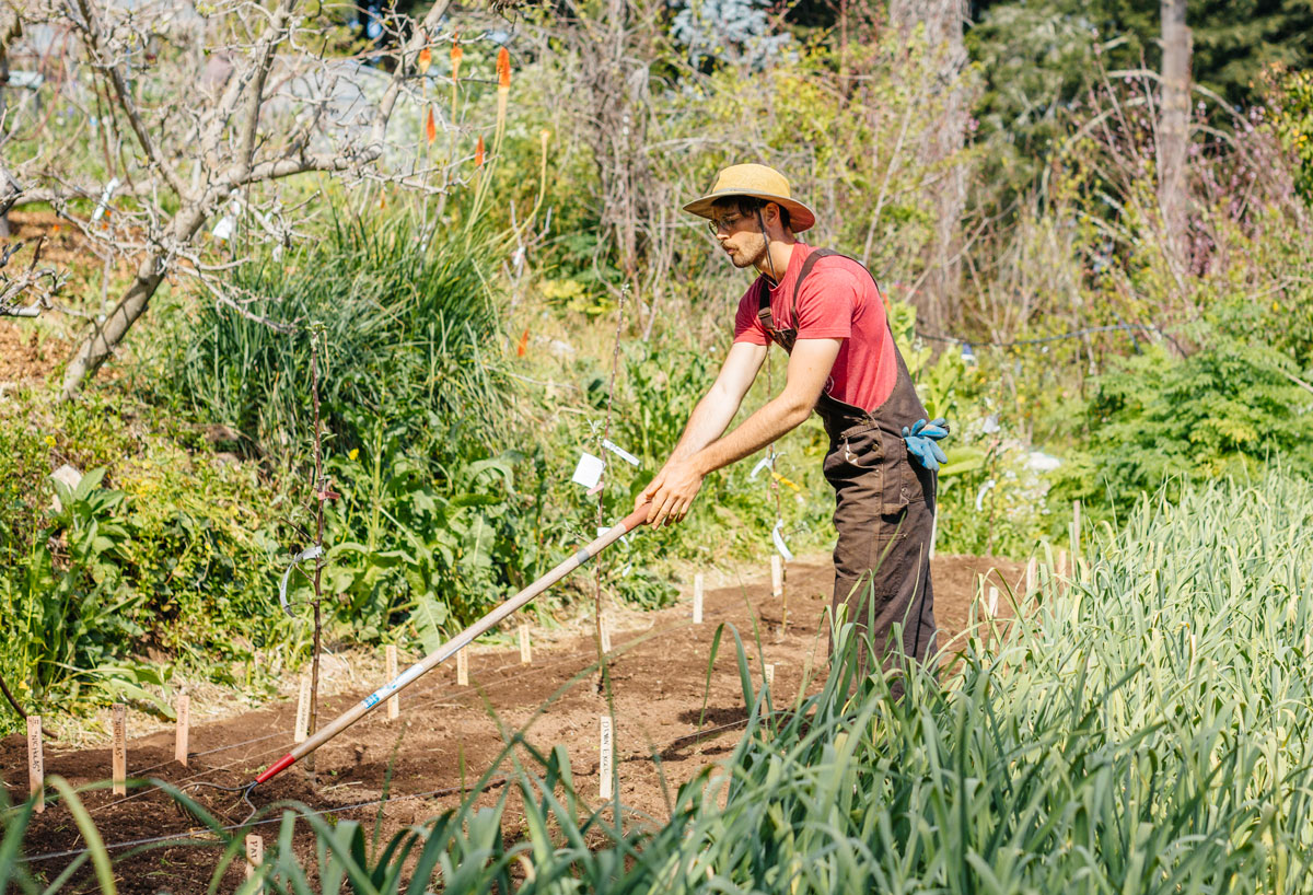 A timeline – UC Santa Cruz