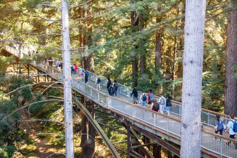 A timeline – UC Santa Cruz
