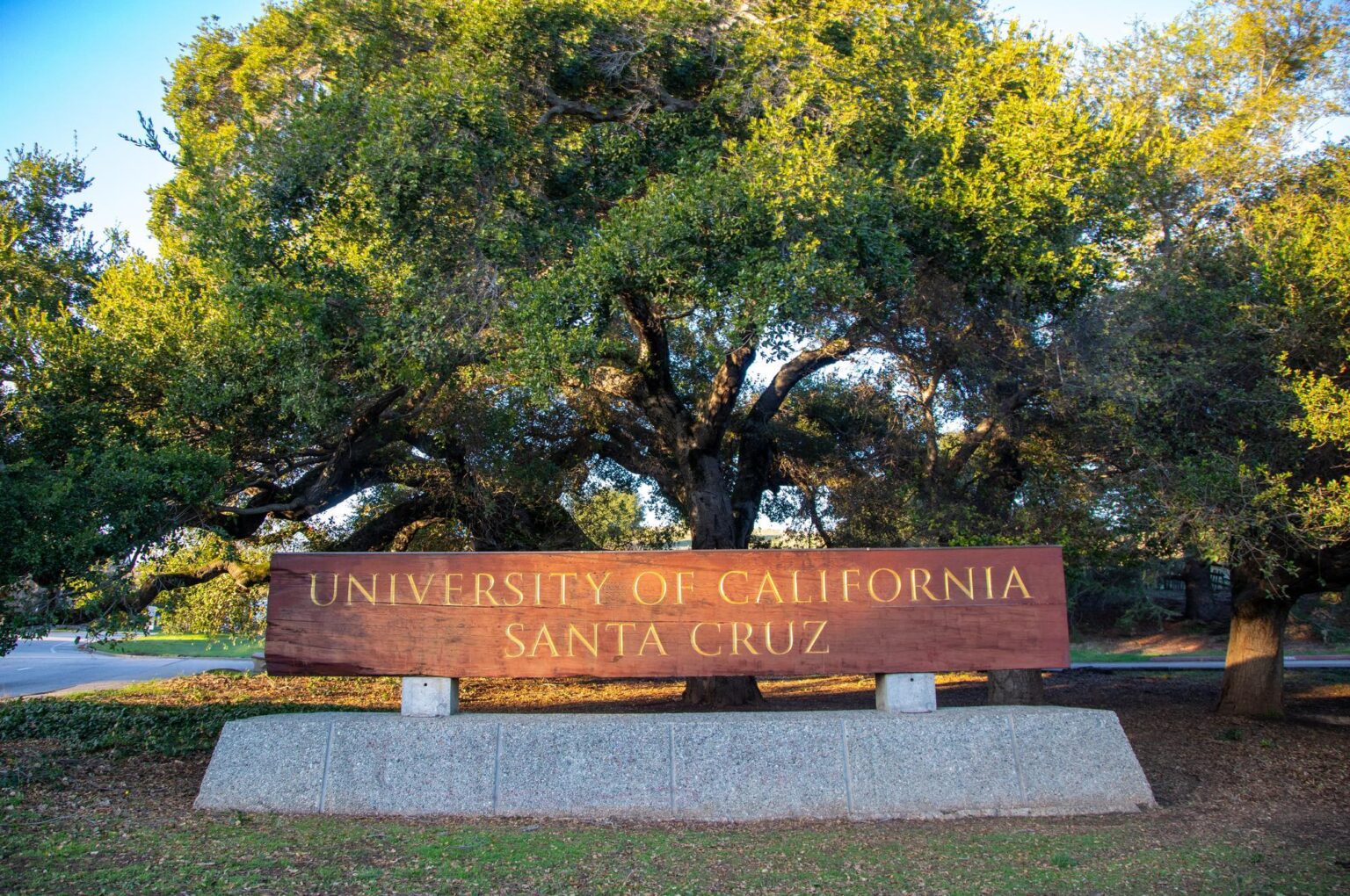 Careers – UC Santa Cruz