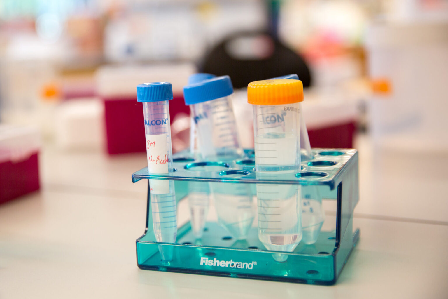 UCSC Research Improves Lives and Livelihoods – UC Santa Cruz