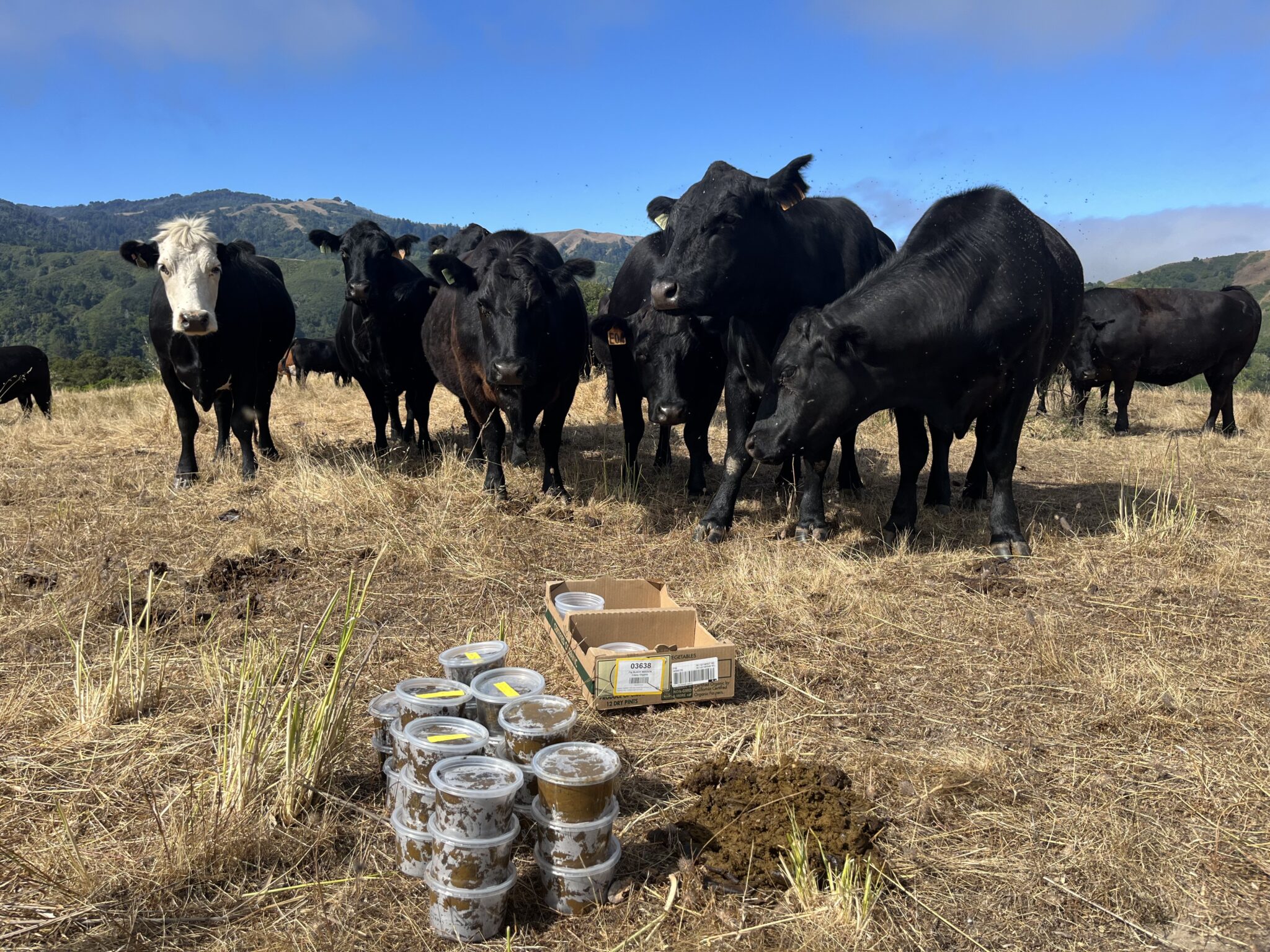 Agricultural Experiment Station – UC Santa Cruz