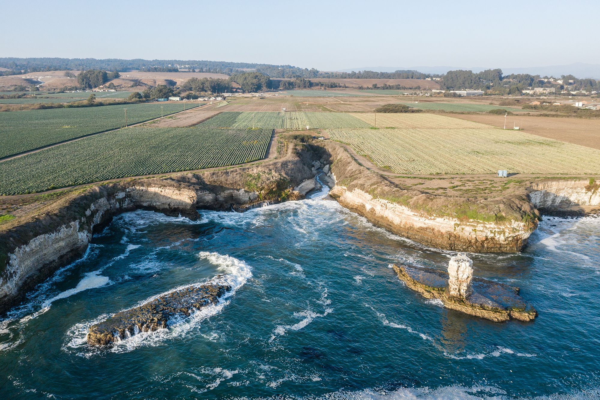 Preserving Habitat. Expanding Opportunity. – UC Santa Cruz